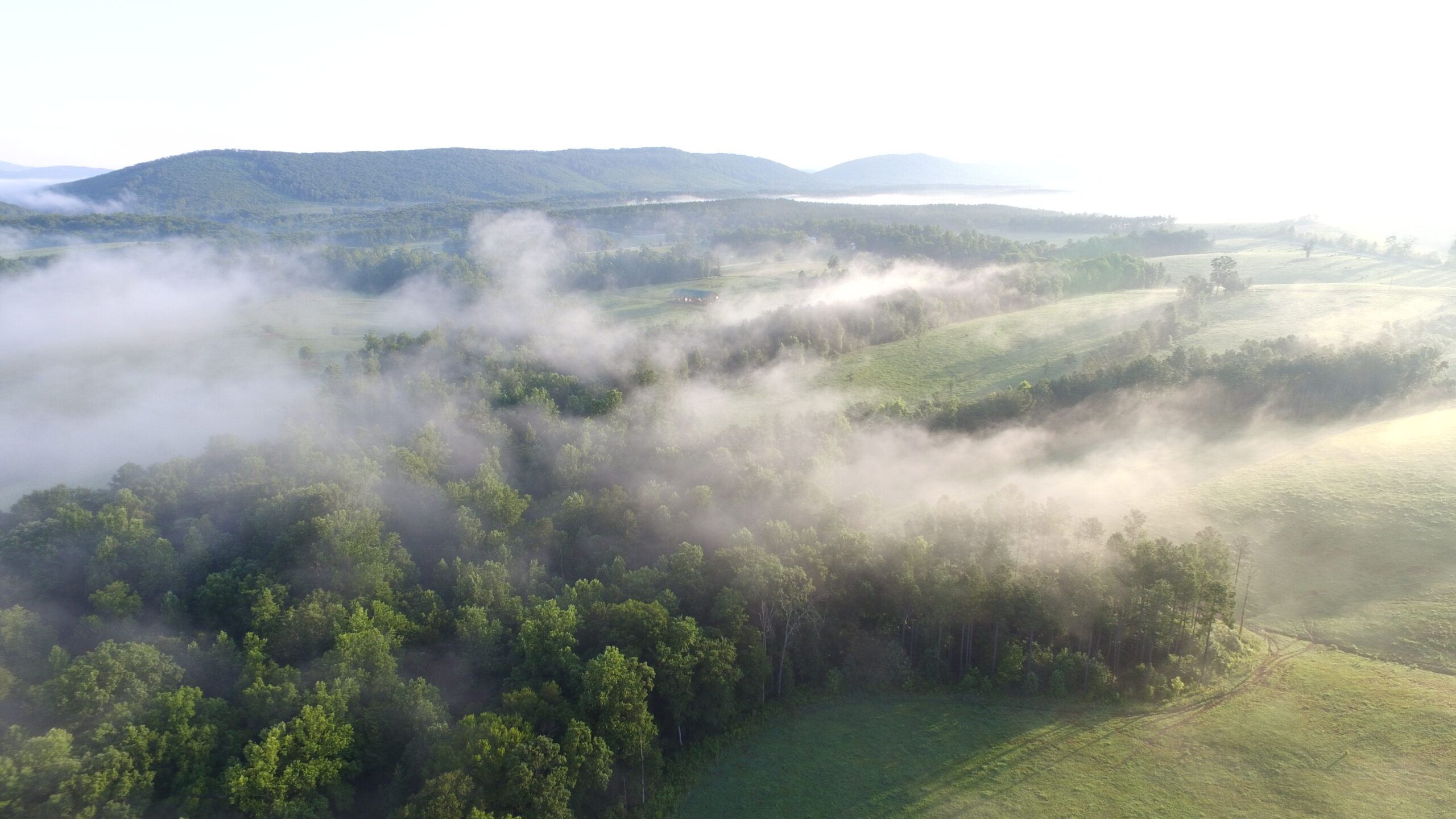 Stream, Wetland and Habitat Restoration at a Watershed Scale
